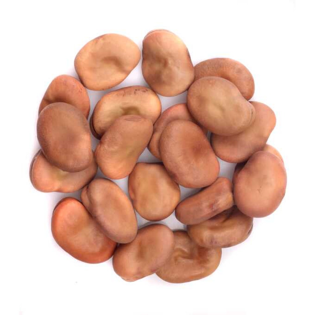 Dried Organic Fava Beans / Mojo Beans / Edible / Available From 2oz ...
