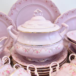 Traditional Pink Porcelain Dinner Set Pink Porcelain by LL for Six With ...
