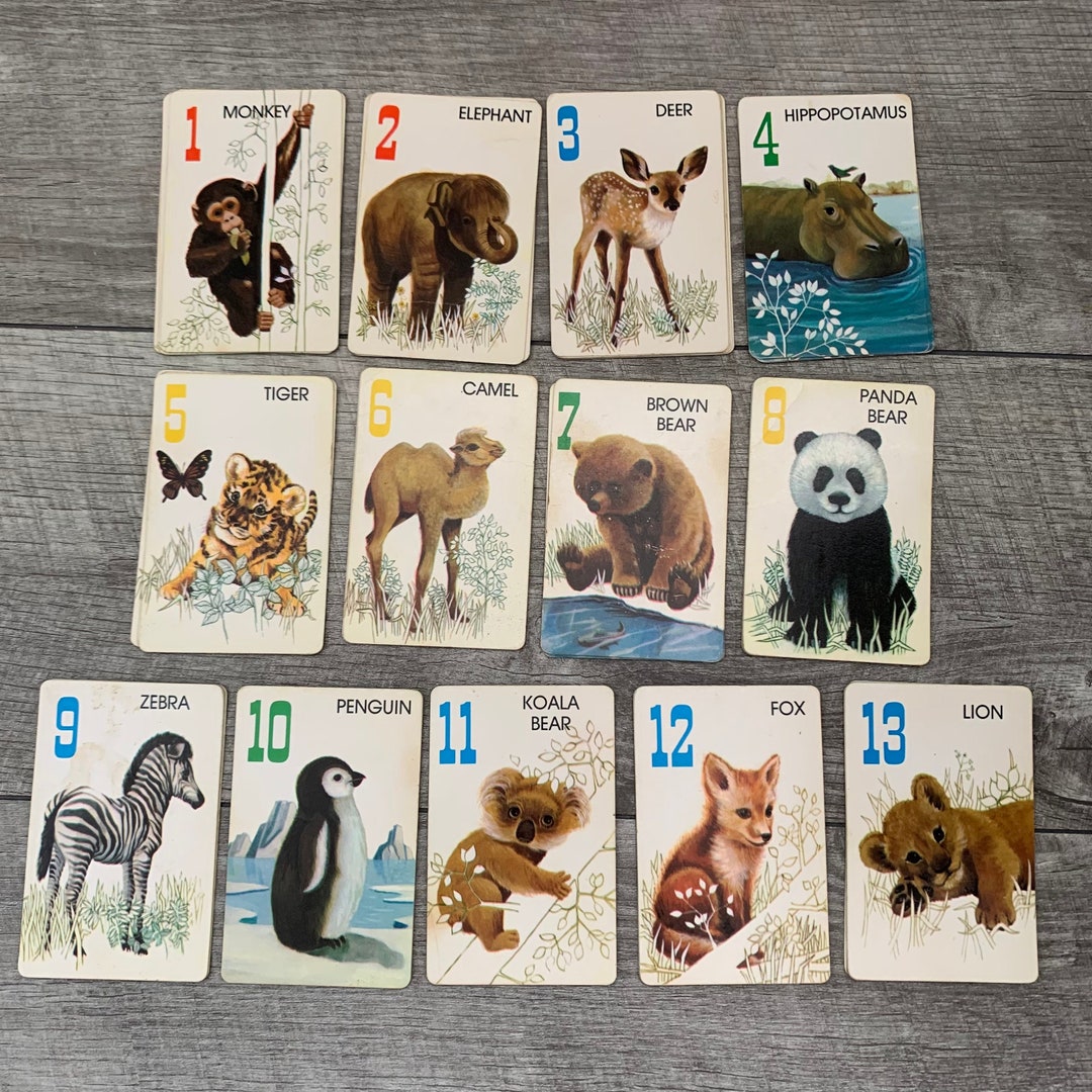 Vintage Baby Animal Cards Set of 13 Crafting Junk Journals - Etsy