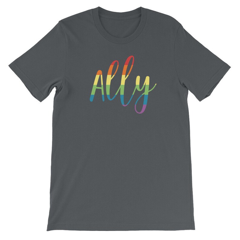 Ally T-shirt / Gay Pride Rainbow Flag Unisex Shirt / Pride Parade Adult ...