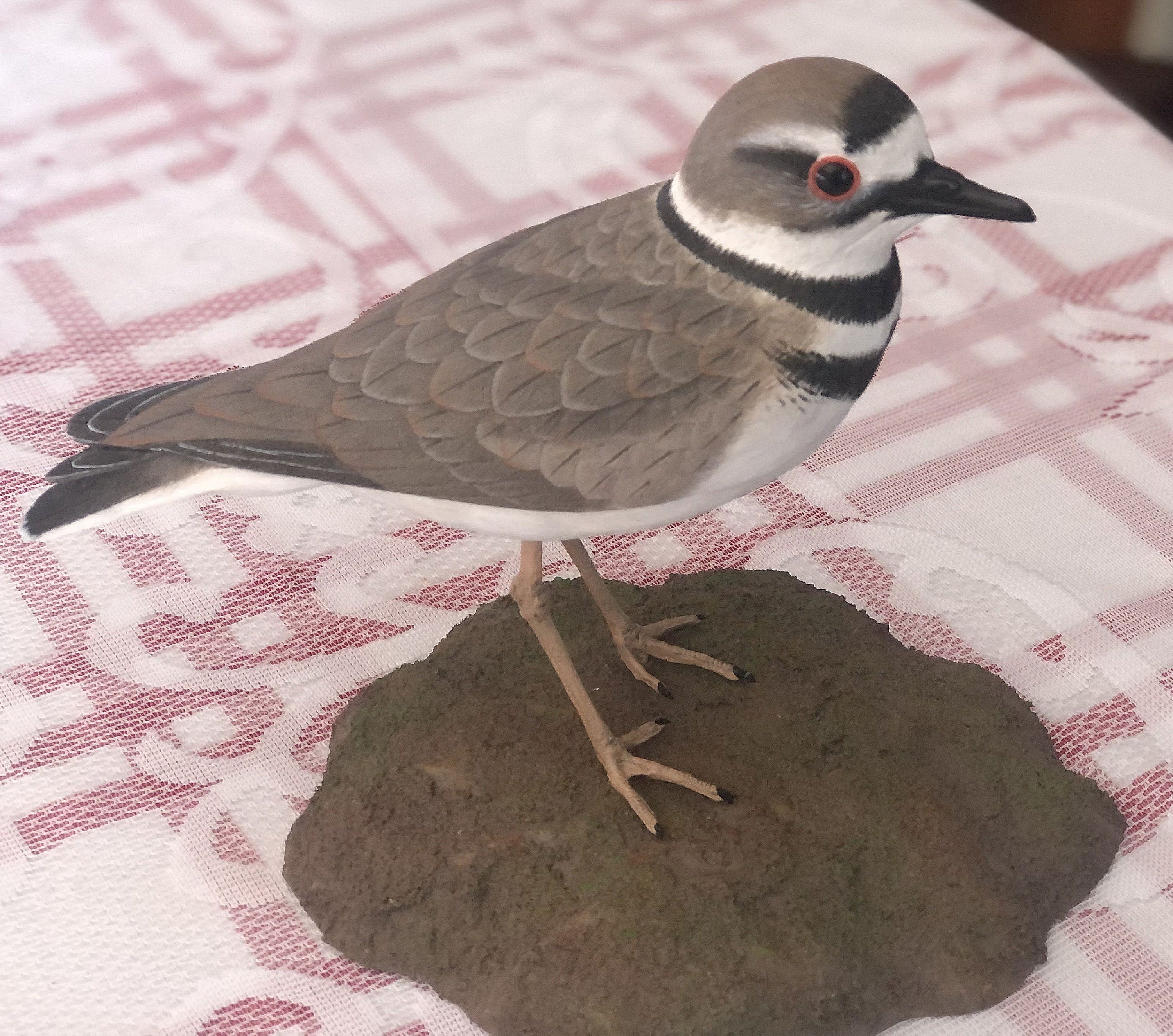 Killdeer Birdkilldeer Hand Carved Bird Life Like in - Etsy