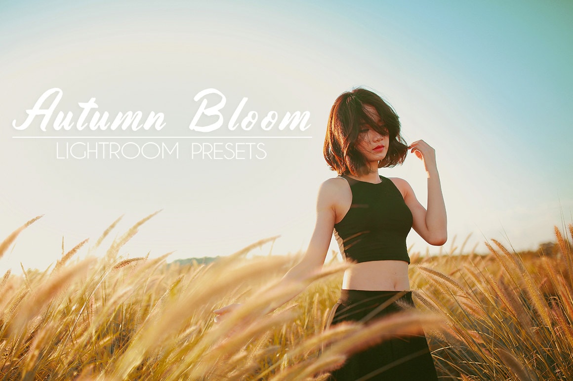 10 Autumn Bloom Presets for Lightroom Sunny, Warmth, Warm Sunshine ...