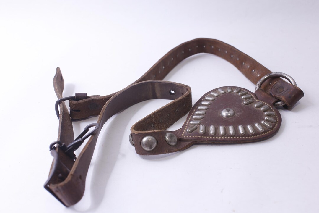 Rare Cavalry Horse Tack, Brown, Leather Equipment, Equine Activities ...