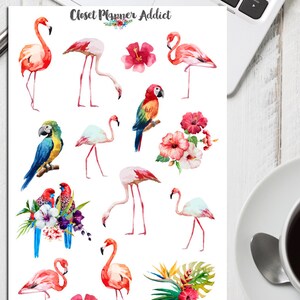 Watercolour Tropical Flamingos Planner Stickers S-187 - Etsy
