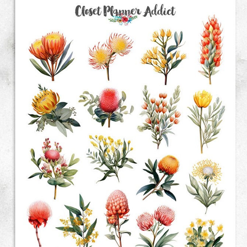 ClosetPlannerAddict - Etsy