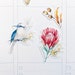 Australian Flora and Fauna Planner Stickers | Australian Plants ...