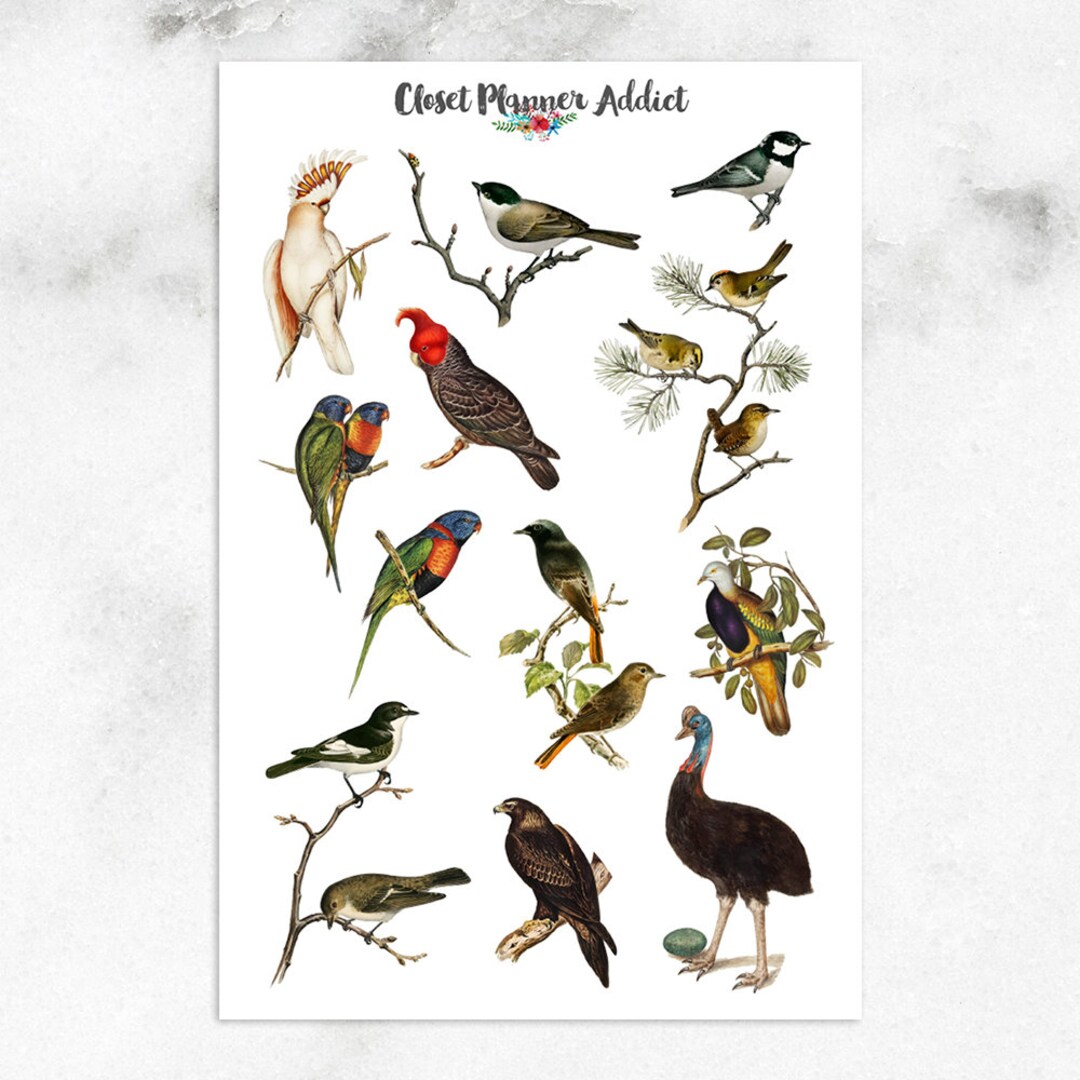 Australian Birds Planner Stickers | Bird Stickers | Vintage Stickers (S ...