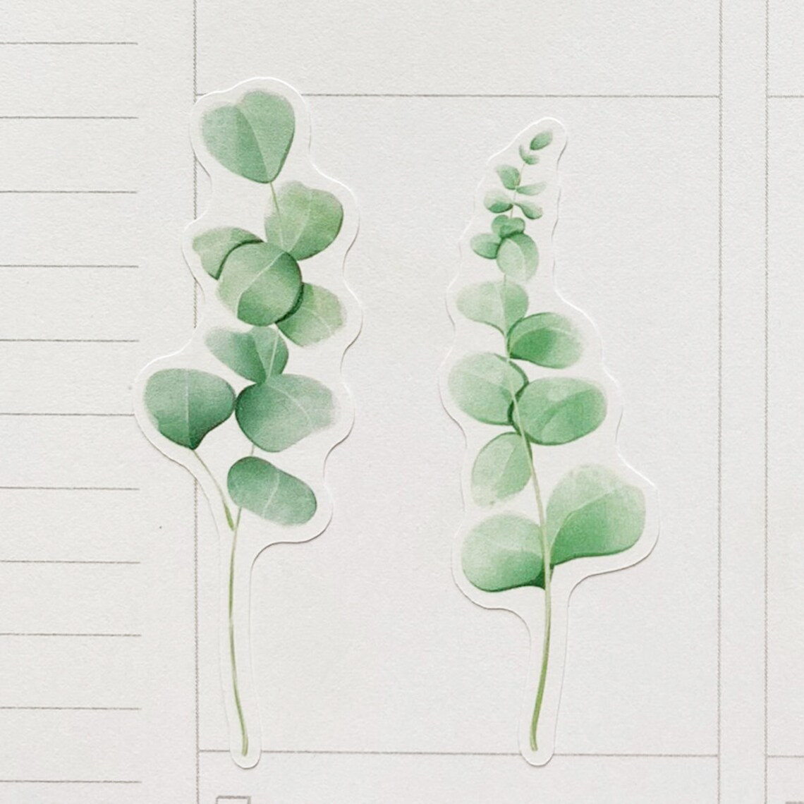 Watercolour Eucalyptus Leaves Planner Stickers Eucalyptus - Etsy Australia