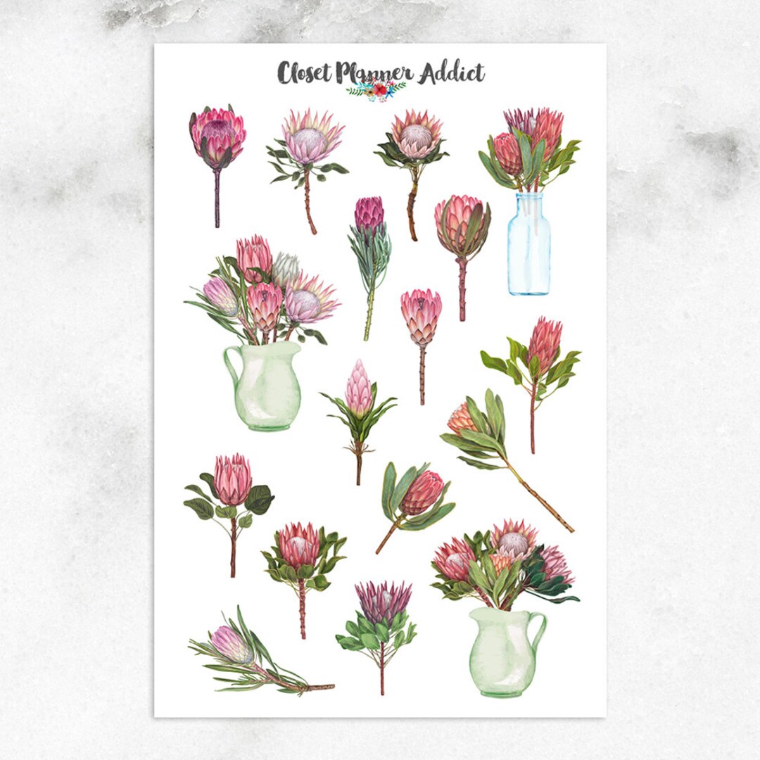 Protea Planner Stickers | Australian Flora Stickers | Australian Plant ...