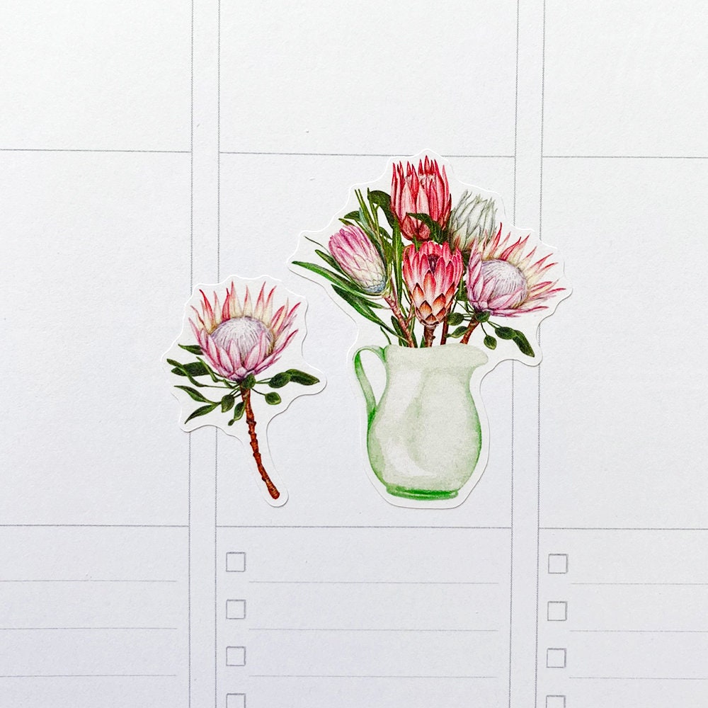 Protea Planner Stickers | Australian Flora Stickers | Australian Plant ...