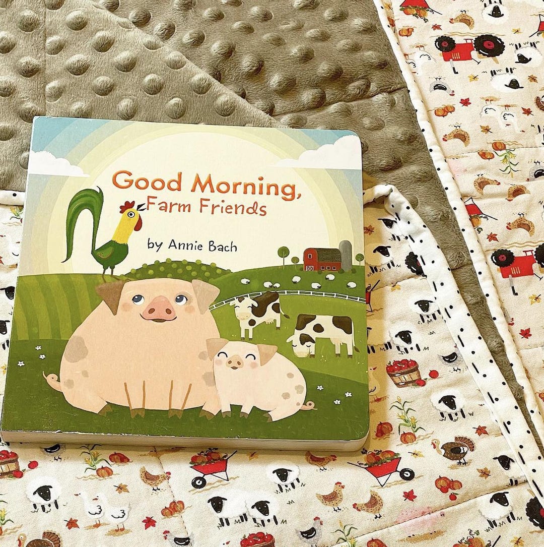 Storybook Quilt - Good Morning Farm Friends - Etsy