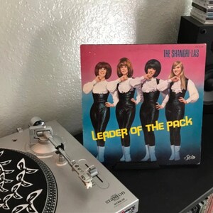 Vinyl Record Display Stand - 3D Printed - Etsy