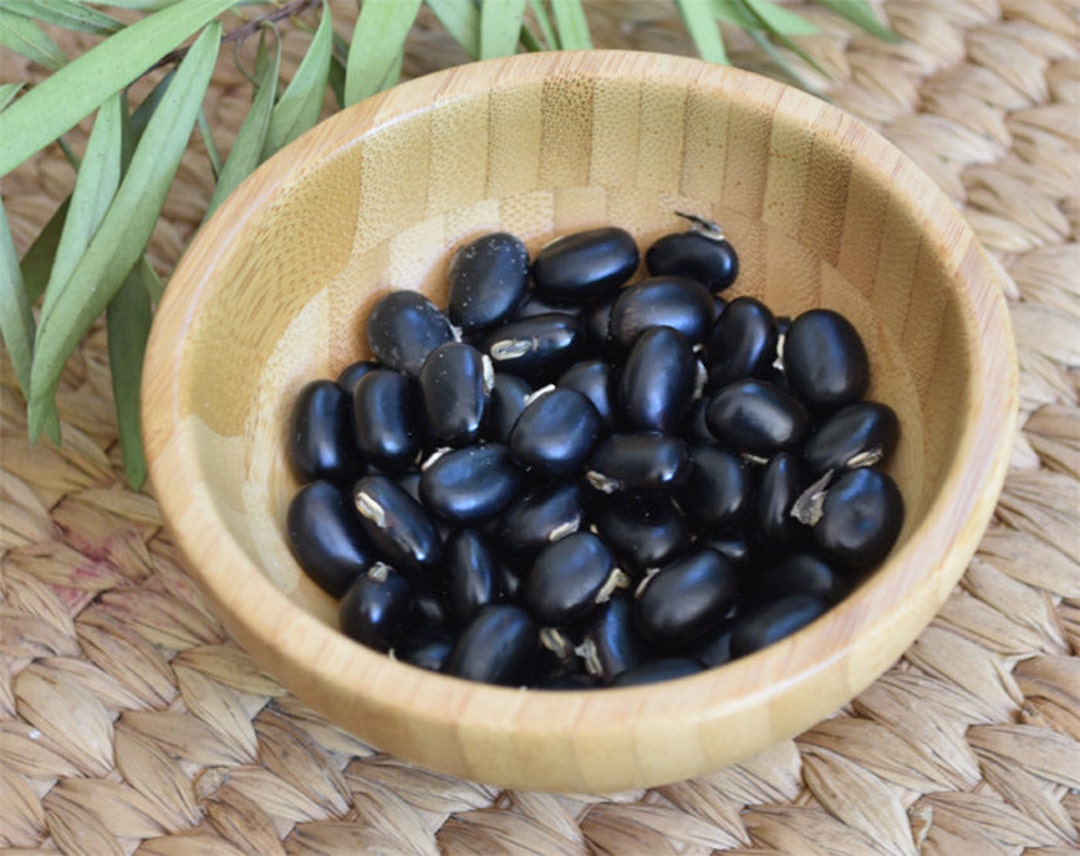 Organic Black Mucuna Pruriens Seeds: Velvet Bean 15+ Seeds - Etsy