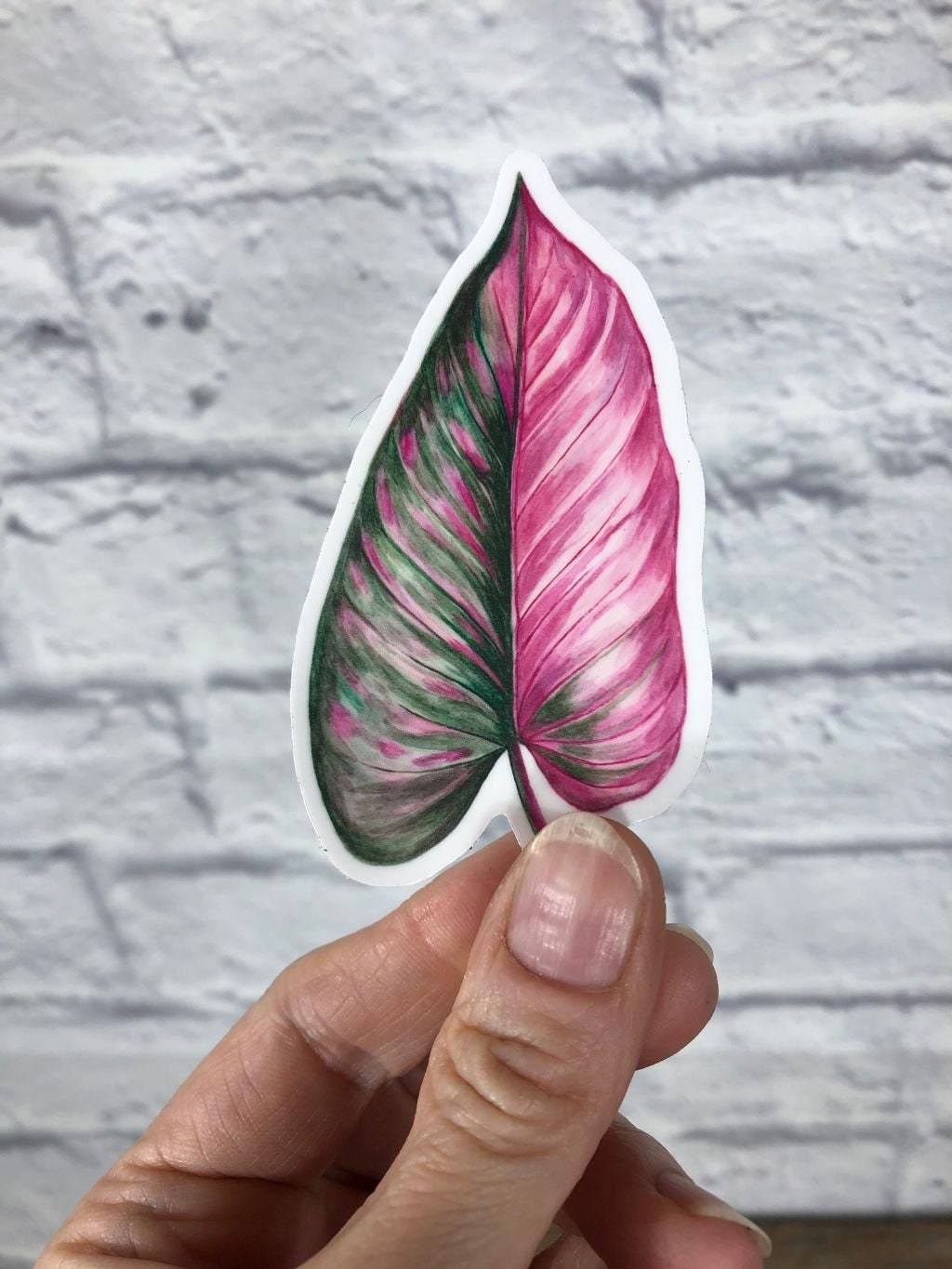 Drawing & Illustration Art & Collectibles Pink Princess Philo Leaf ...