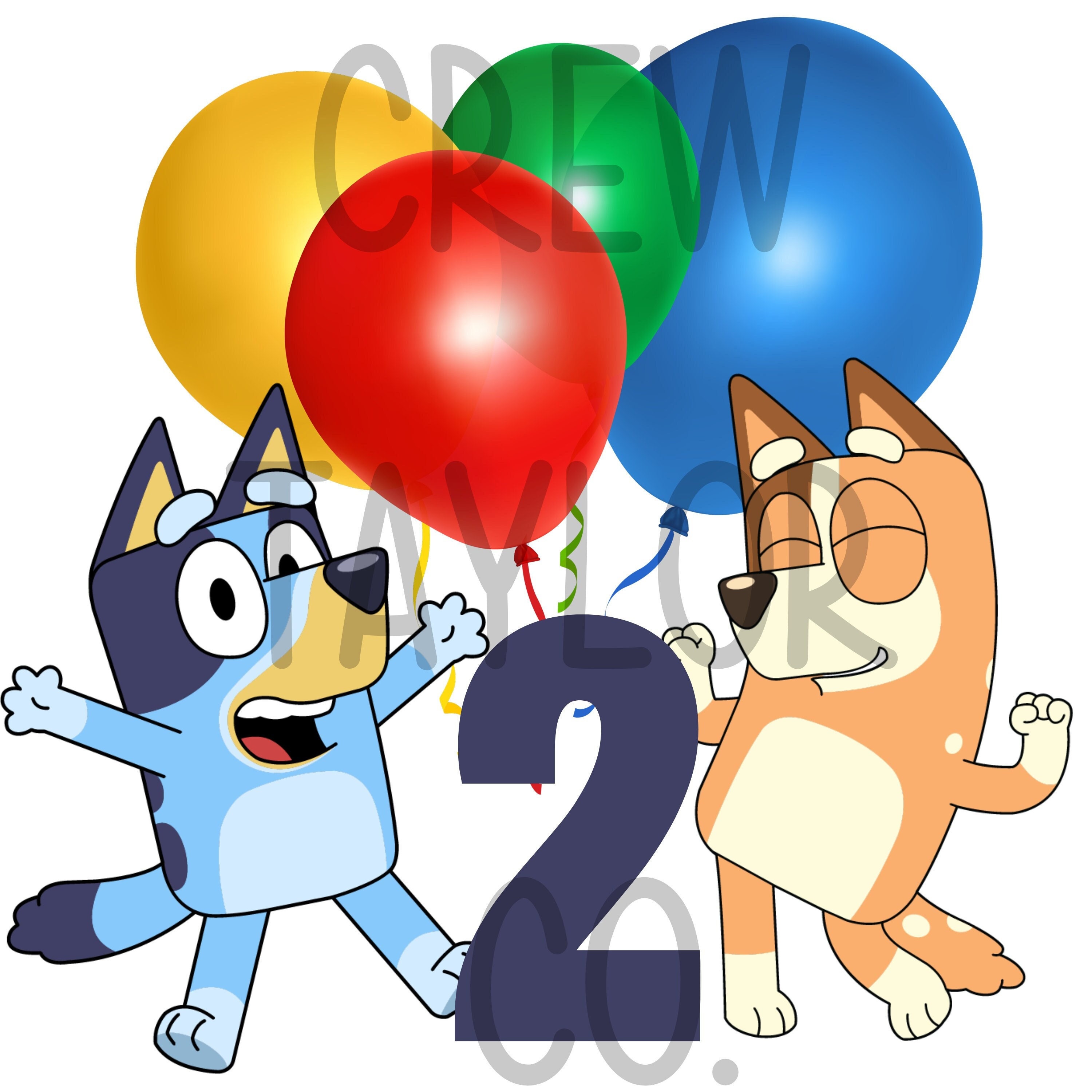 Bluey Bingo 2nd Birthday PNG File Bluey Bingo Second Etsy