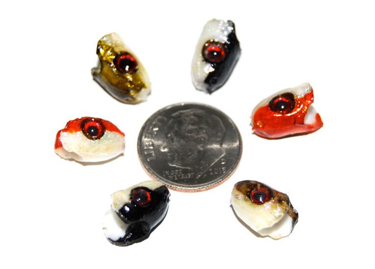 Pinhead Pack DIY Variety Pack of Heads for Fly Fishing or - Etsy