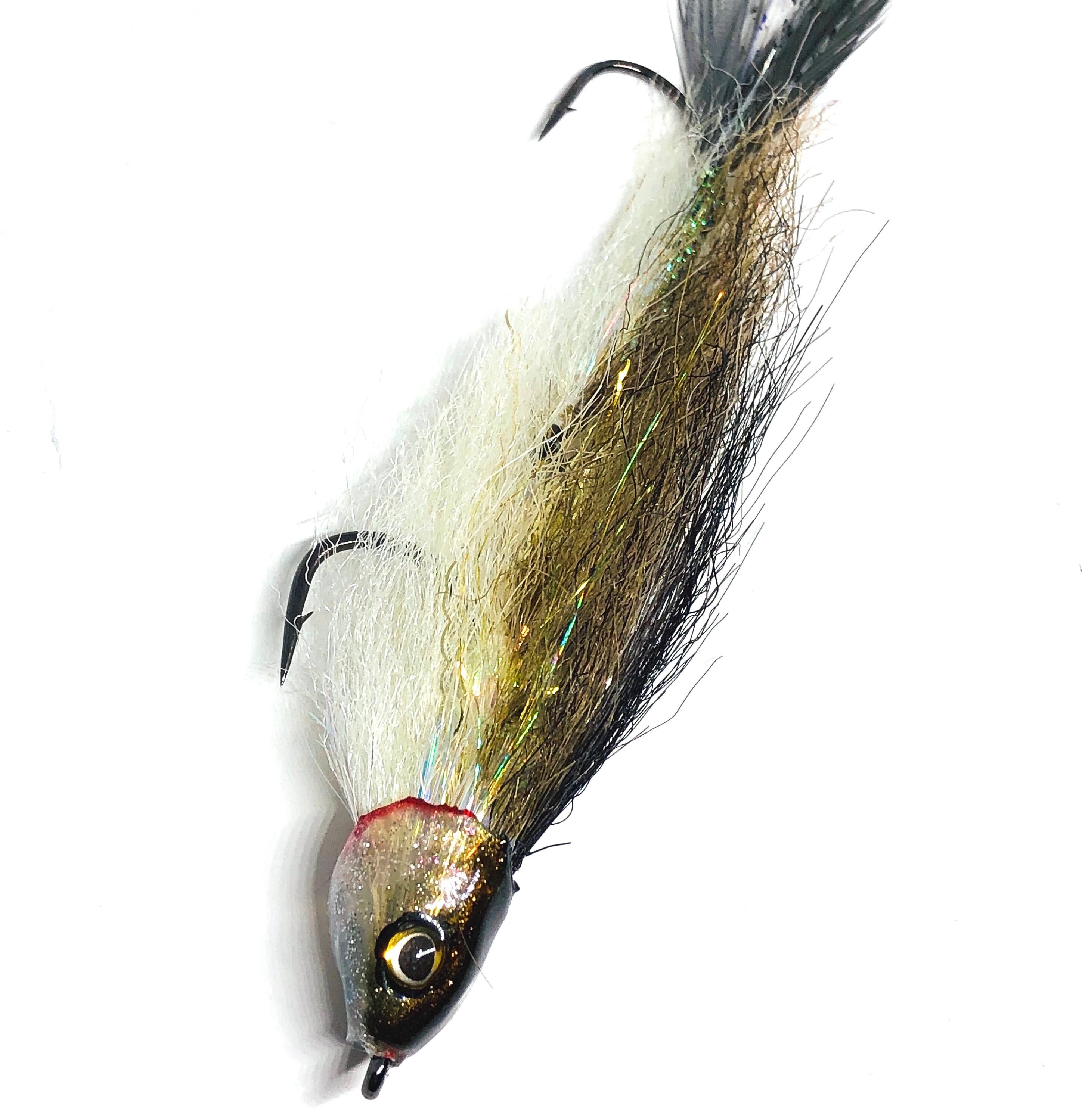 Black Nosed Dace Readymade Fly Fishing Fly or Spin Rod Lure - Etsy