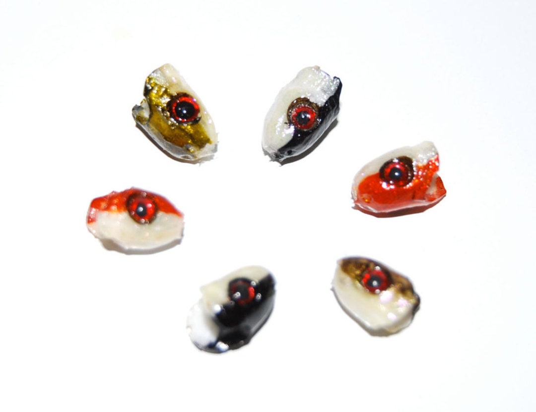 Pinhead Pack DIY Variety Pack of Heads for Fly Fishing or - Etsy