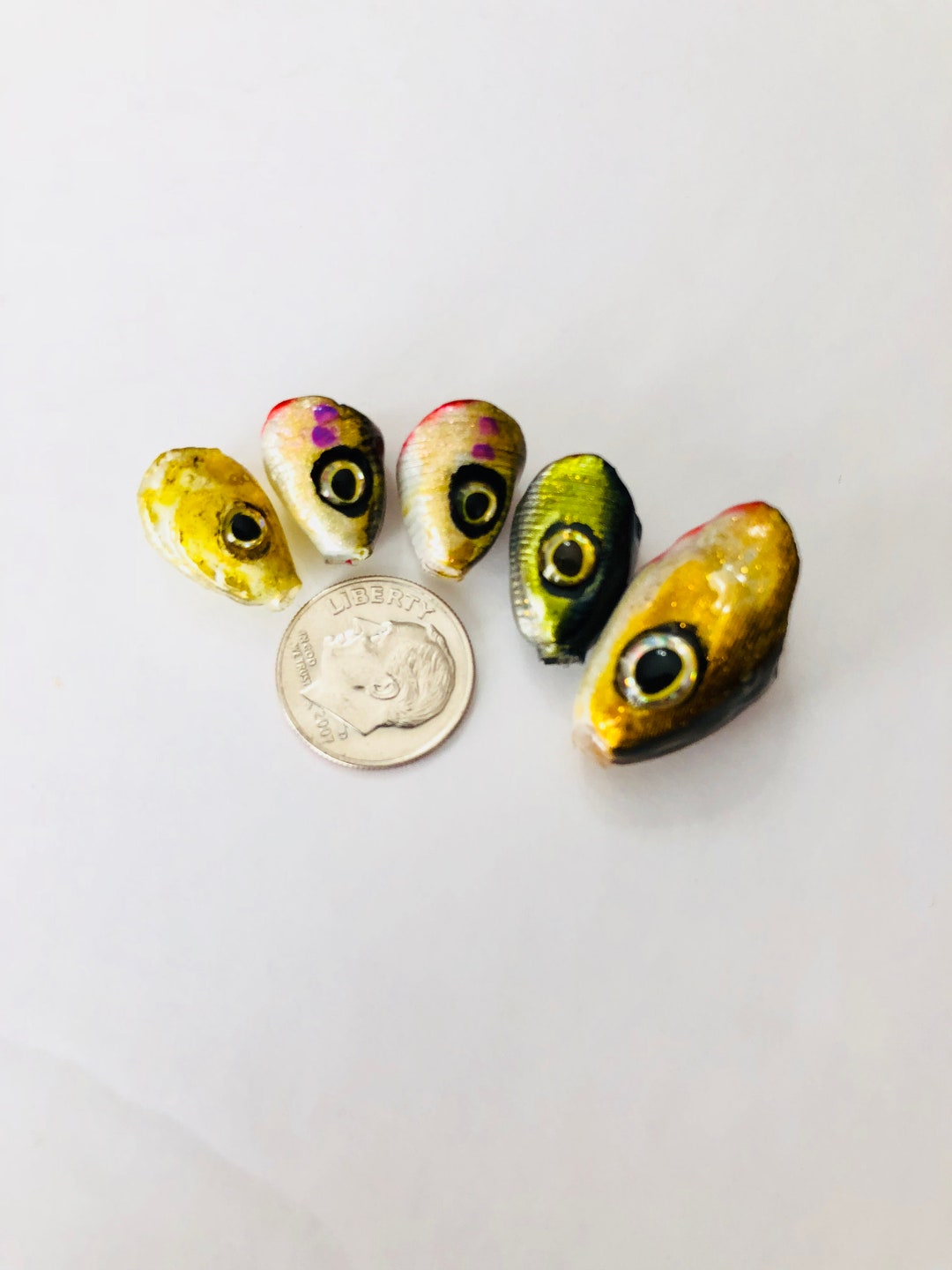 The bait Pack DIY Variety Pack of Fish Heads for Fly Fishing Flies or ...