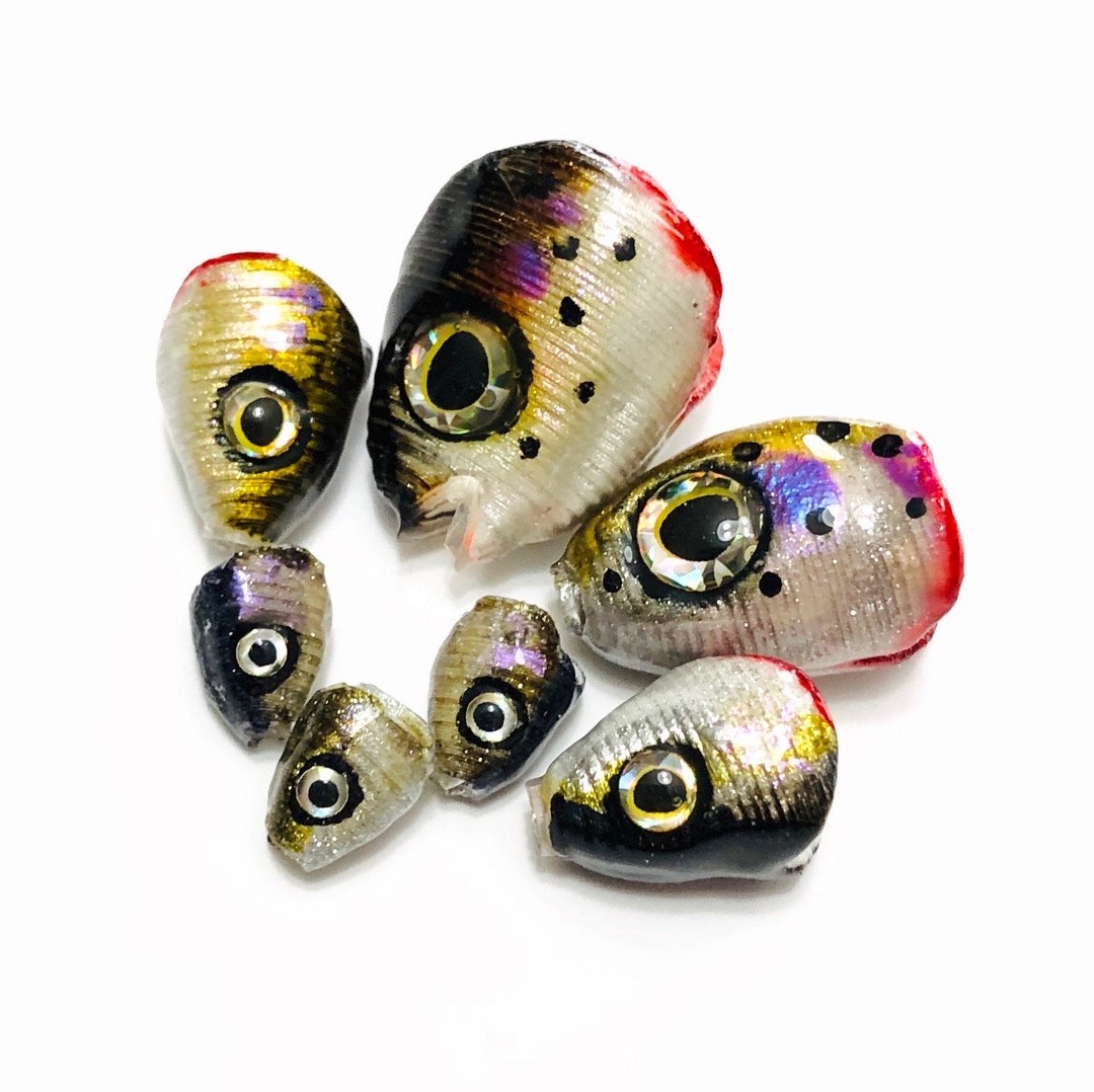 Summer Starter Pack Fish Heads for Fly or Spin Rod Fishing Lures by ...