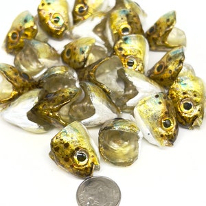 Juvenile Brown Trout Head -- DIY Fly Fishing or Spin Rod Lure Head by ...