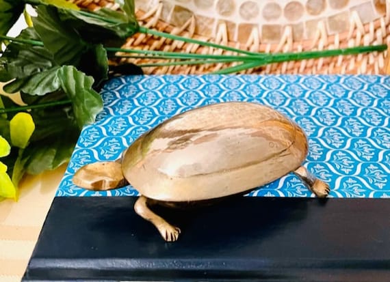 Turtle Love Brass Turtle Brass Turtle Box Hinged Turtle Box - Etsy