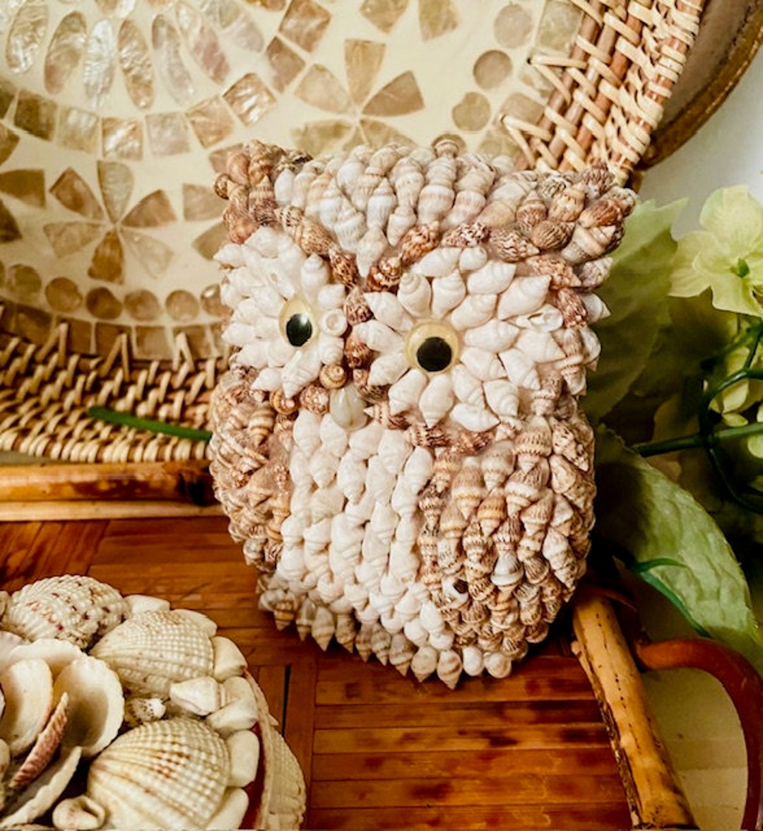 Shell Owl Shell Art Beach Decor Coastal Decor Owl Figurine Decorative ...