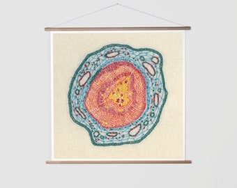 Plant Cells Poster - Etsy