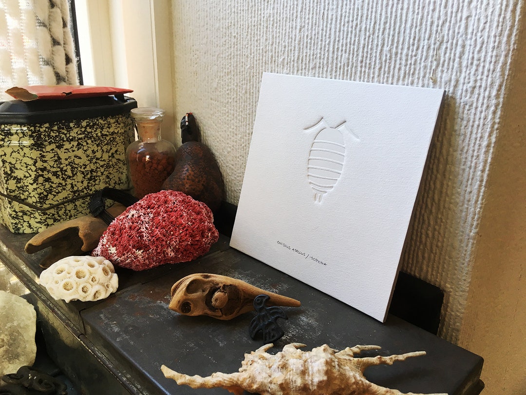 Embossed / Debossed Roly Poly Bug in White Watercolor Paper on a 4mm ...