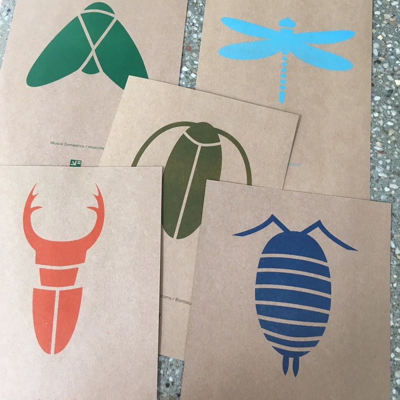 Bugs - a Set of 5 Colorful A5 Riso Prints of Abstract Bugs on Recycled ...