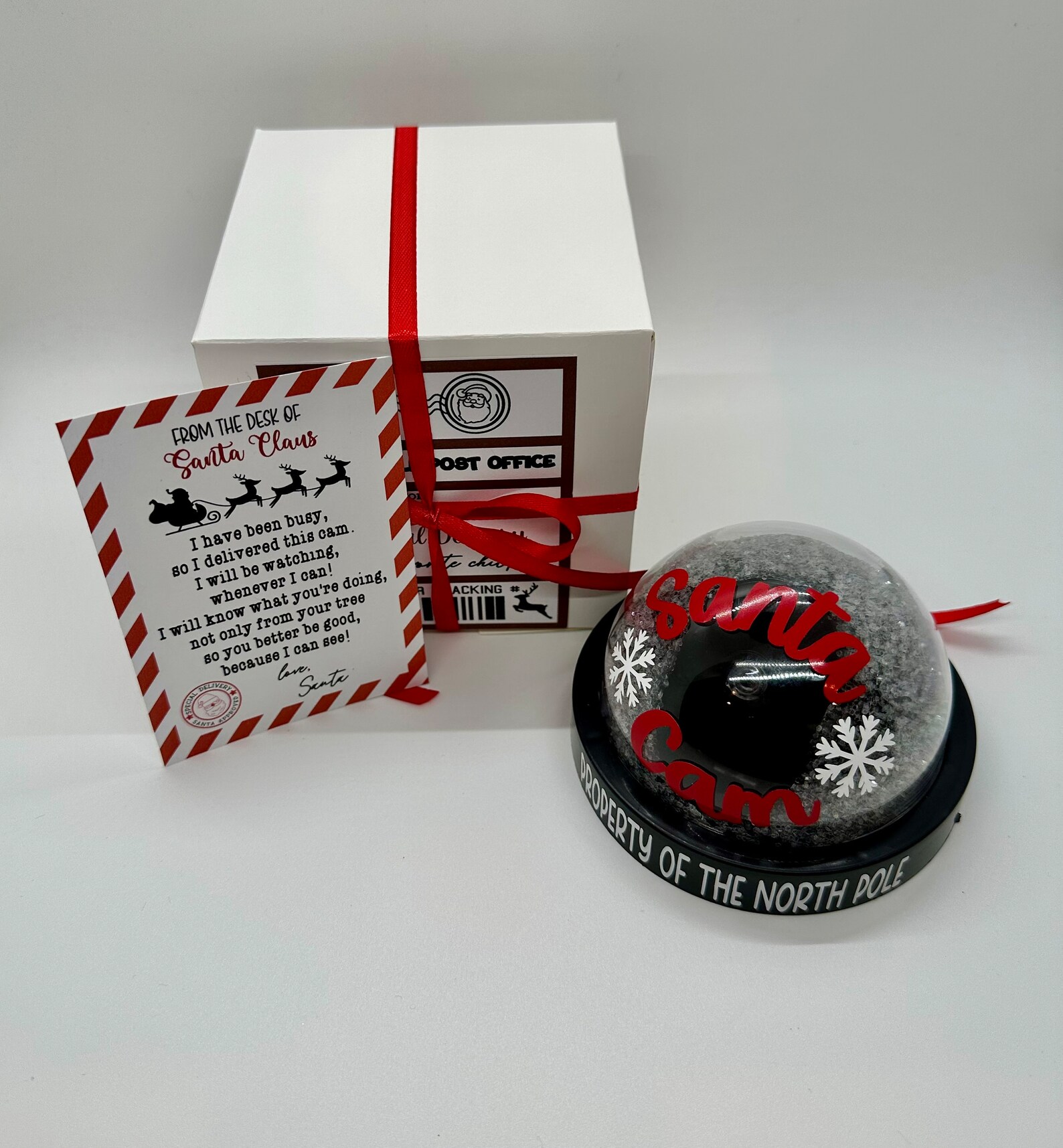Santa Cam Gift Package From Santa // Glitter Snow Security Camera ...