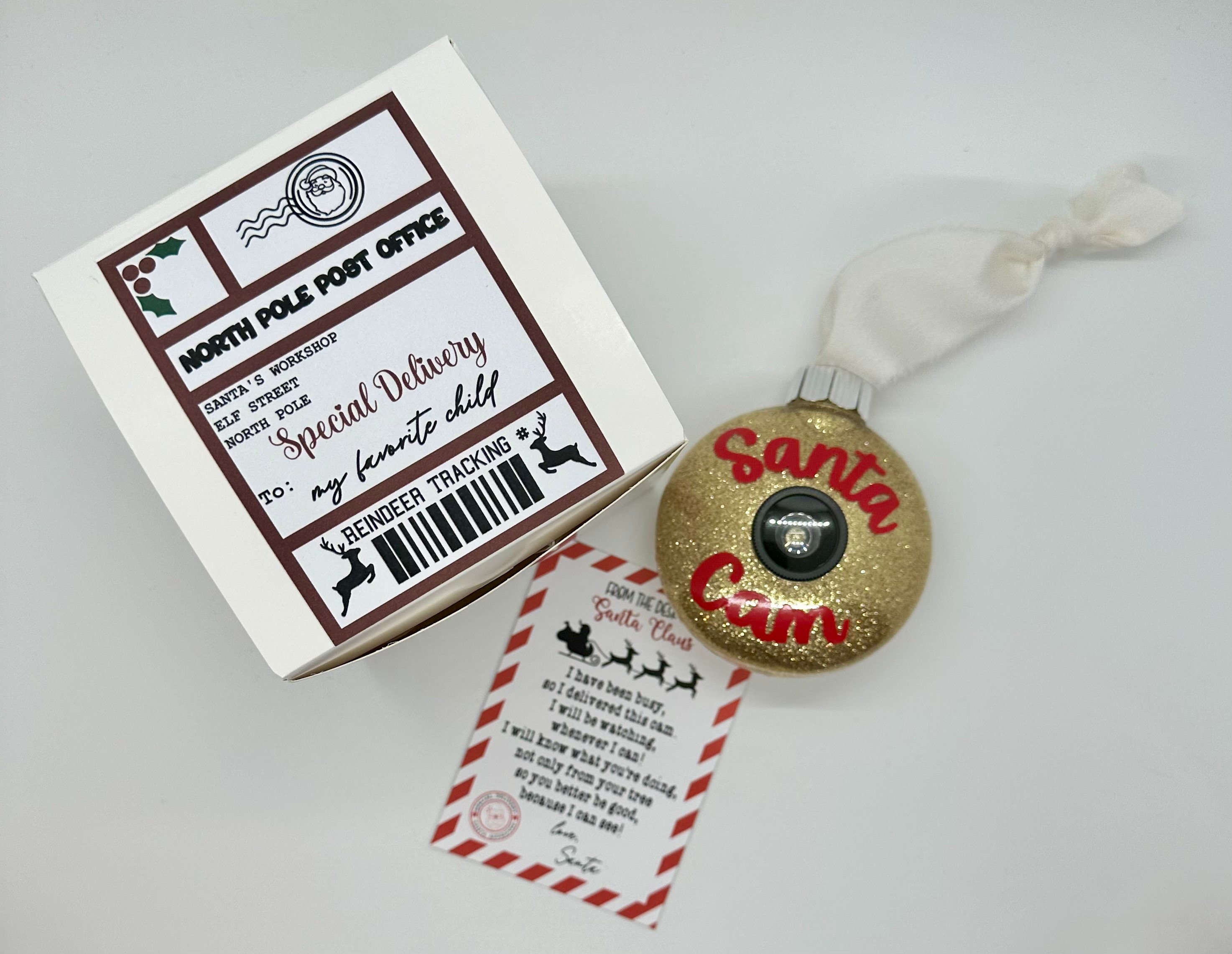 Santa Cam Gift Package From Santa // Glitter Snow Security Camera ...