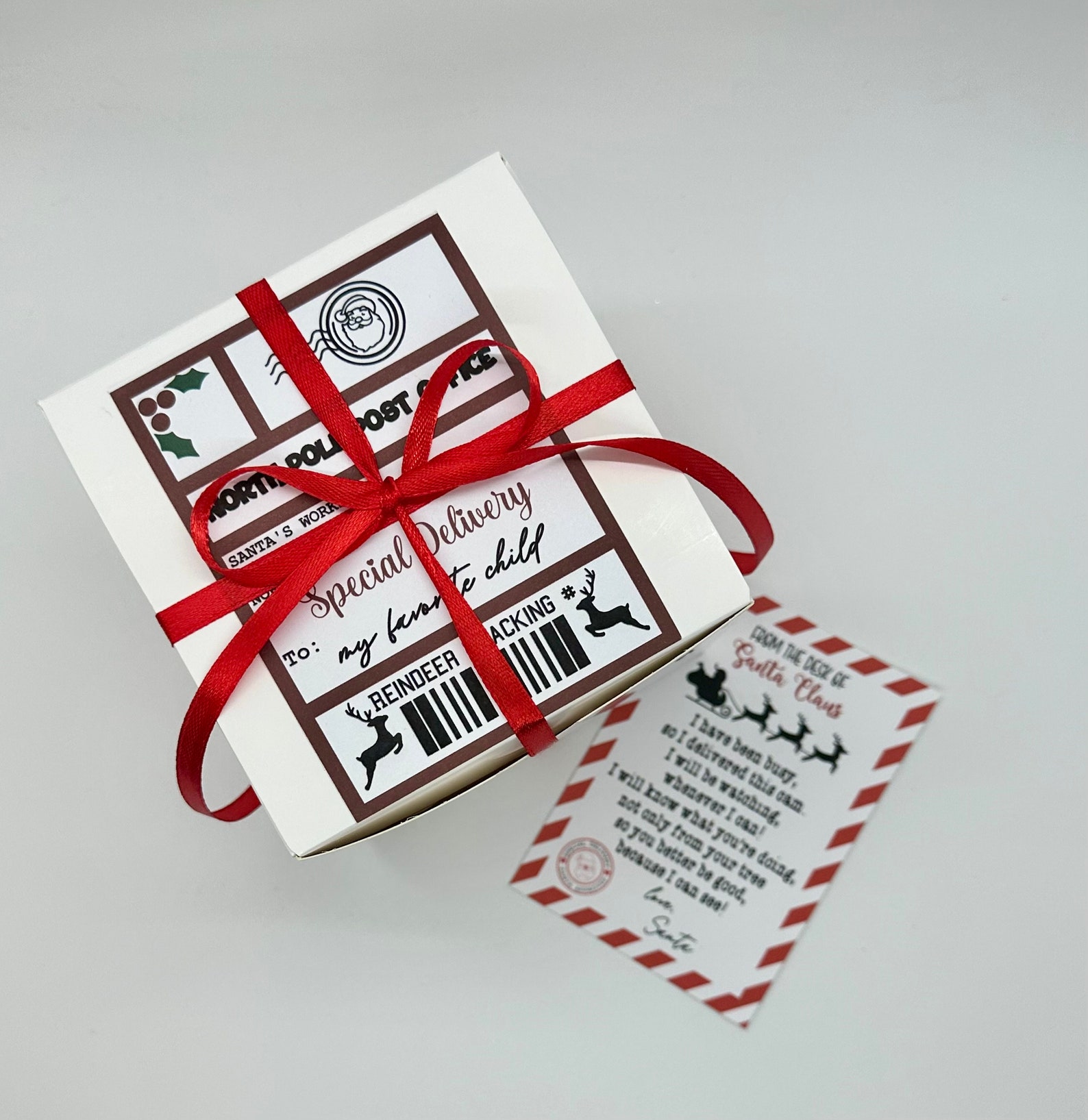 Santa Cam Gift Package From Santa // Glitter Snow Security Camera ...
