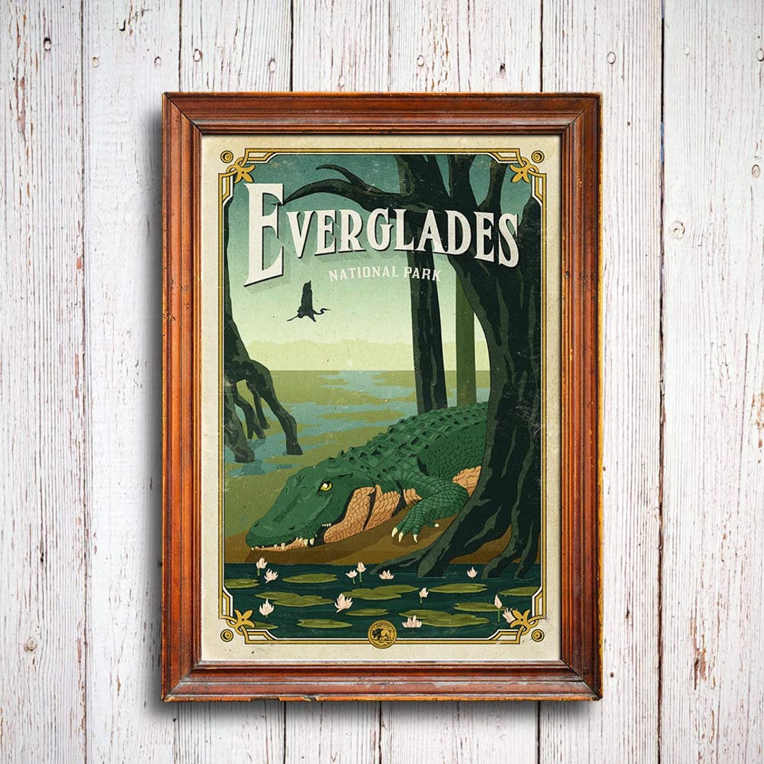 Everglades Poster, Everglades National Park Print, Swamp Poster ...