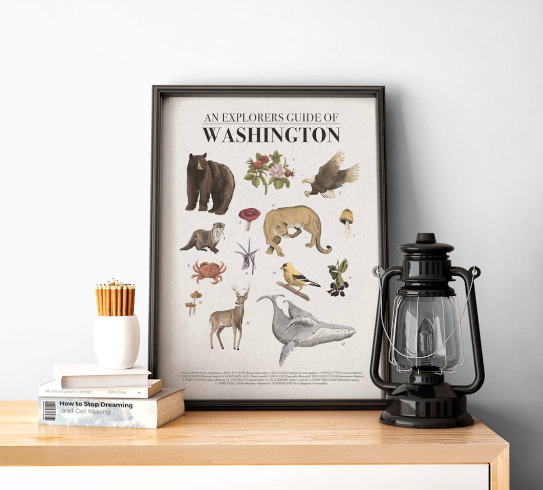 Washington State Poster | Pacific Northwest Hiking Wall Art ...