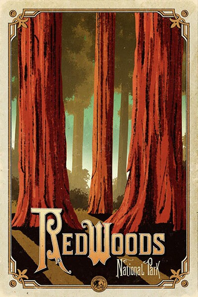 Redwoods National Park Poster, California Trees Art Print - Etsy