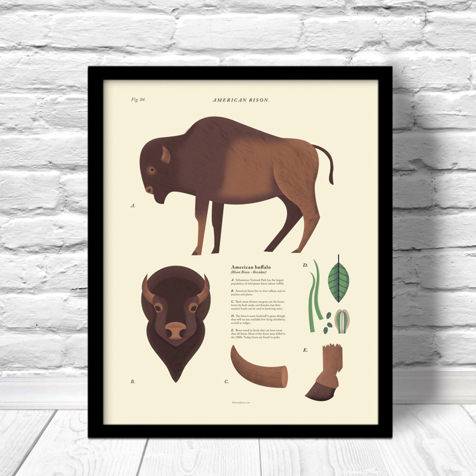 American Bison Poster National Park Art Yellowstone Bison | Etsy