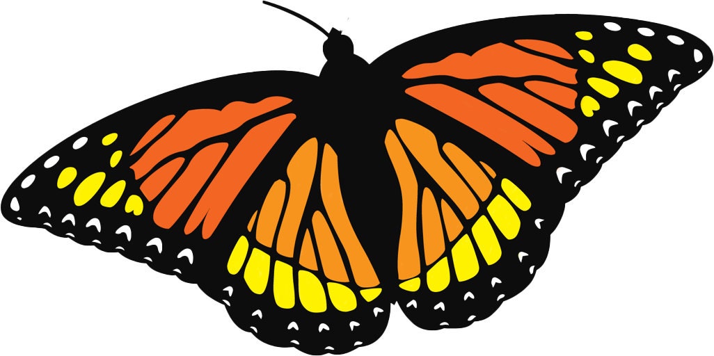 Colored Butterfly SVG - Etsy