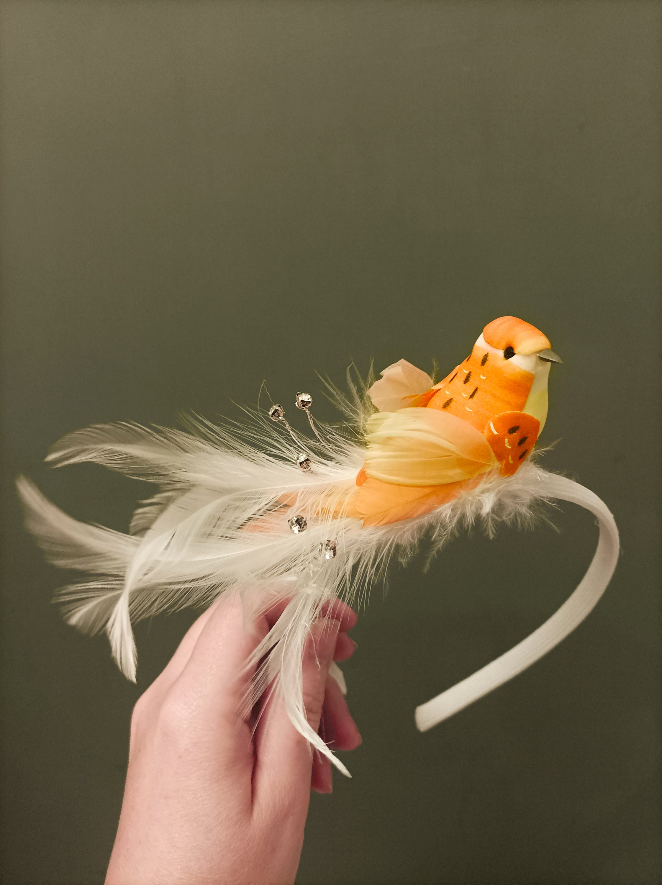 Orange Bird Headdress Feathered Fascinators Bird Hat Orange and White ...