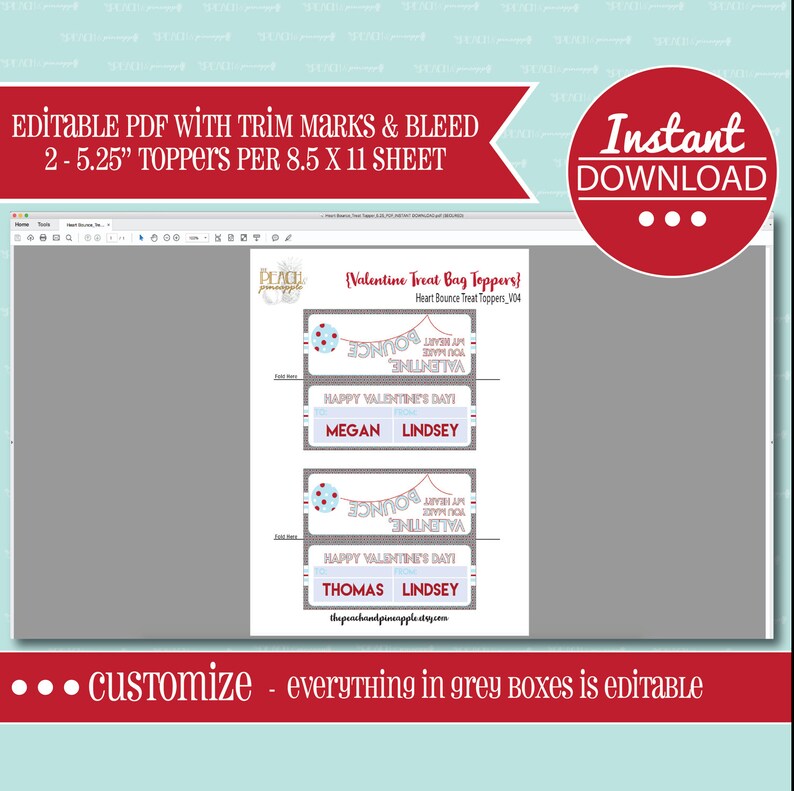 VALENTINE TREAT TOPPER, You Make My Heart Bounce, Editable, Treat Bag ...