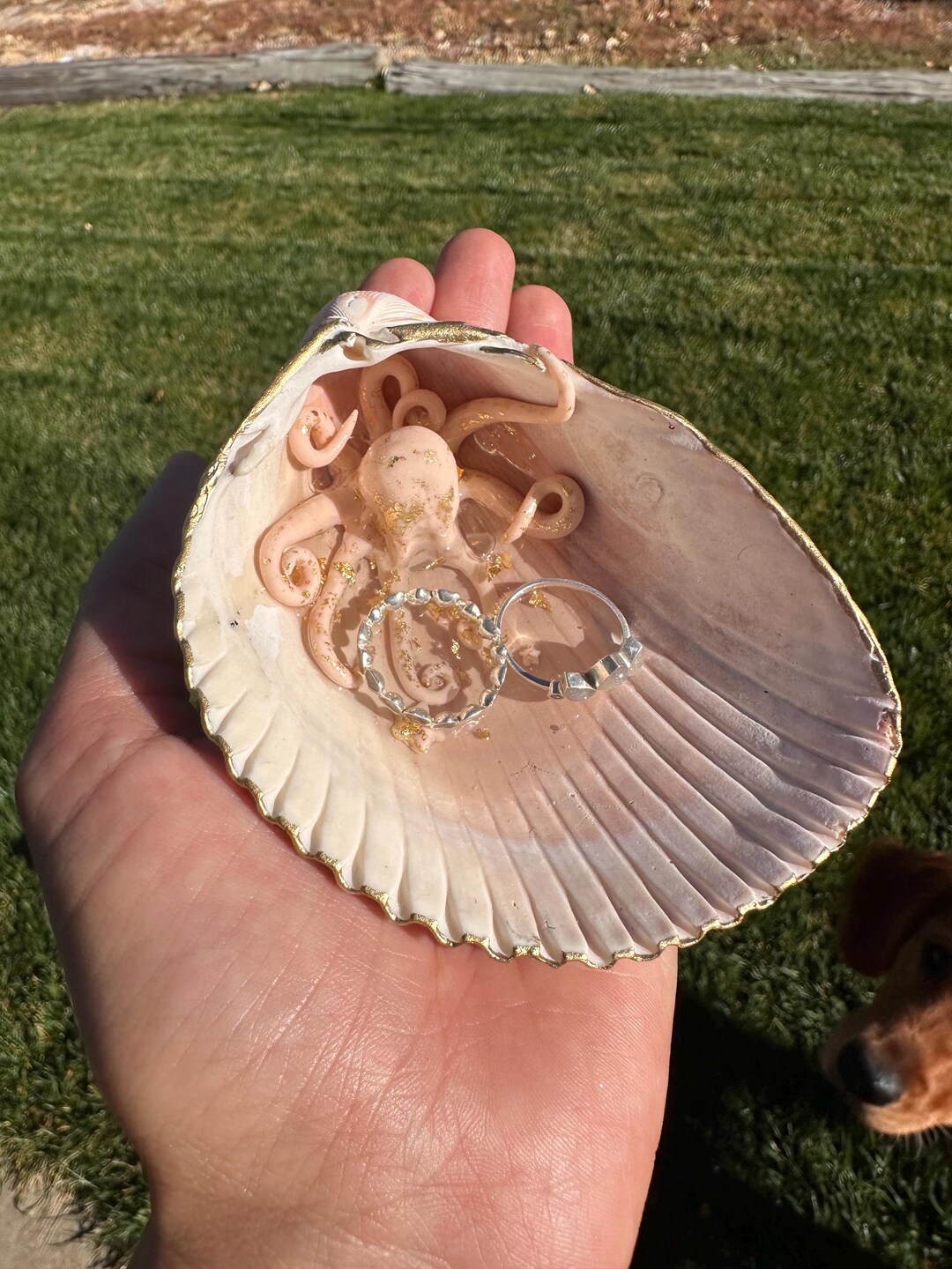 Octopus Shell Trinket Dish - Etsy