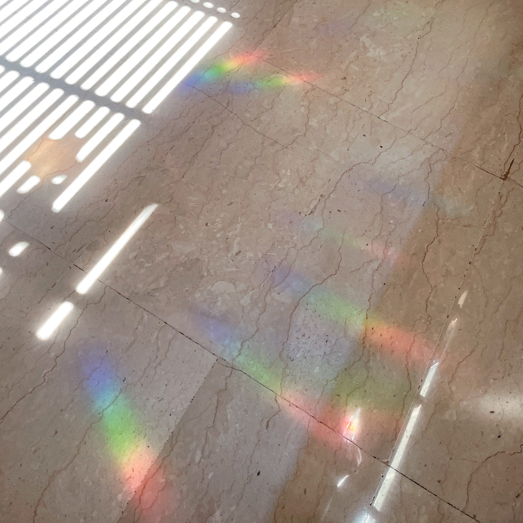 Capybara Suncatcher Rainbow Window Decal, Cute Llama Decal, Holographic ...