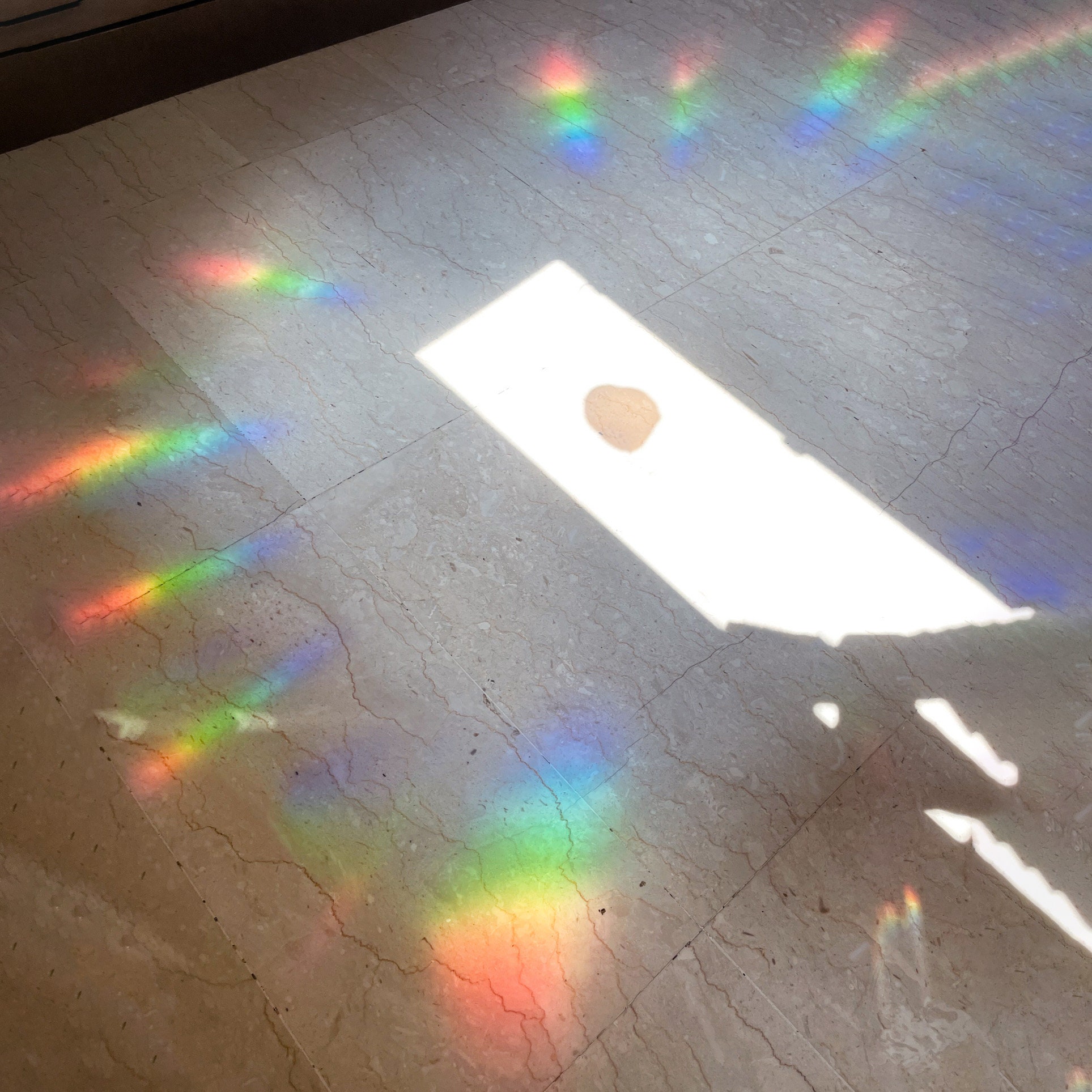 Capybara Suncatcher Rainbow Window Decal, Cute Llama Decal, Holographic ...