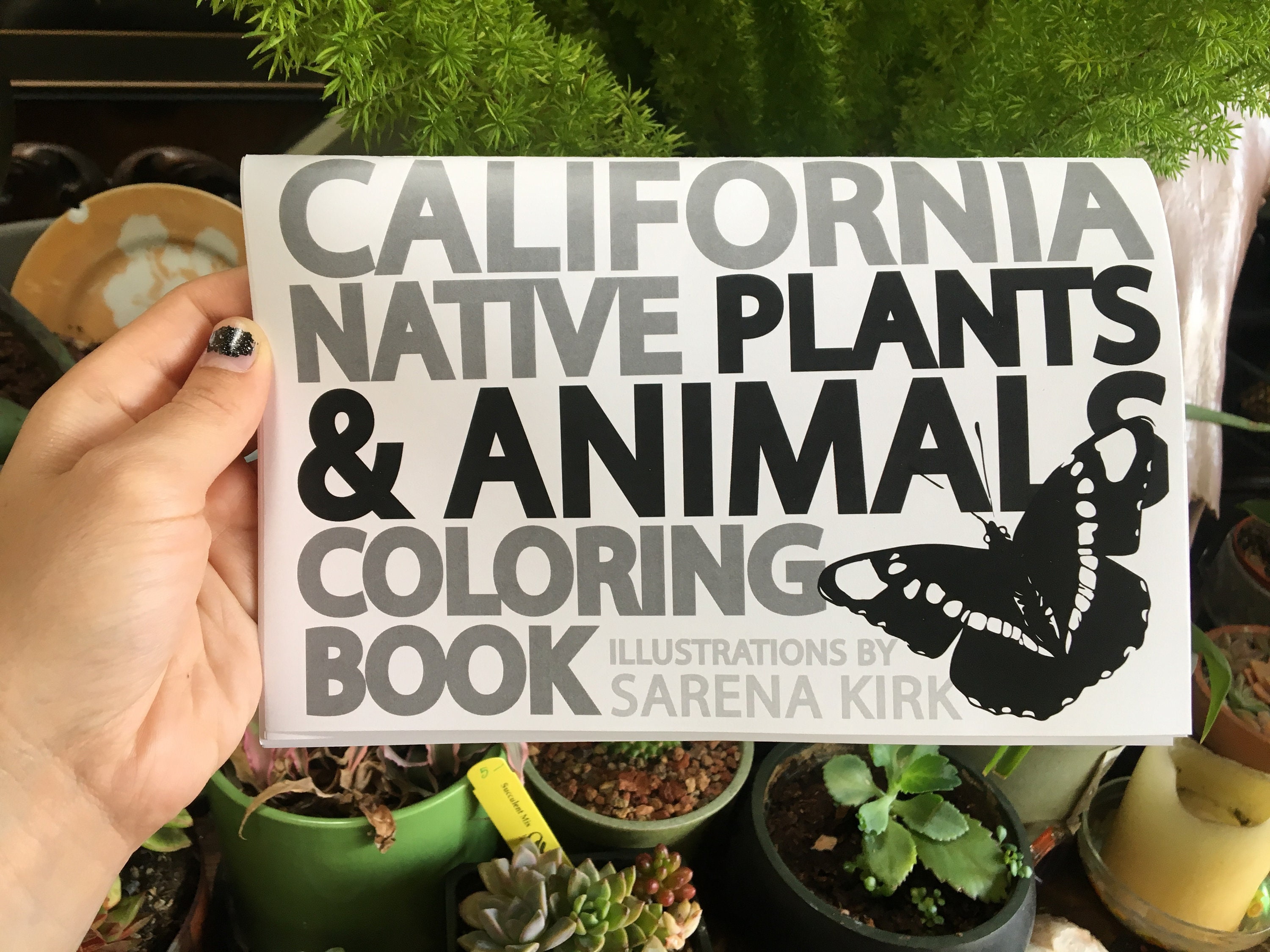Coloring Book: DIGITAL DOWNLOAD California Native Plants and Animals - Etsy