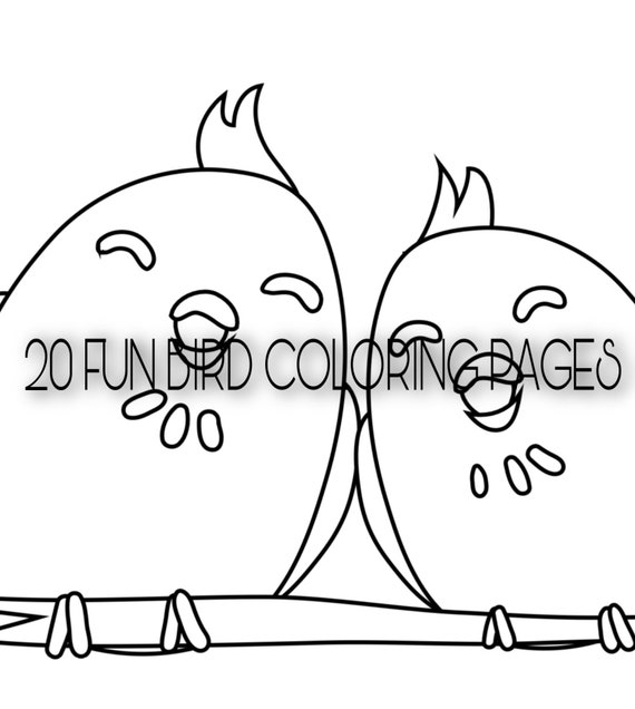 20 Fun Bird Coloring Pages Vol. 3 - Etsy