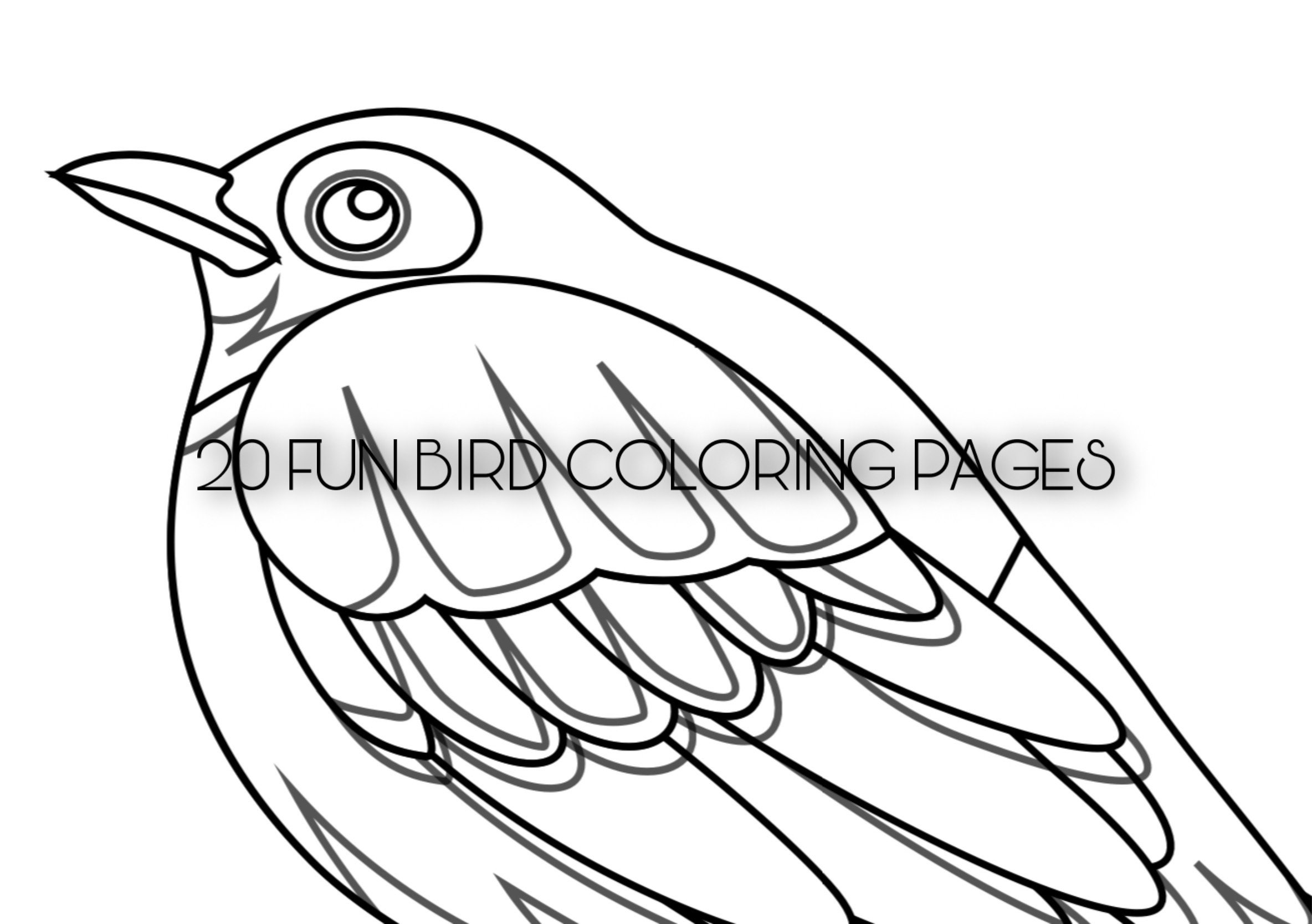 20 Fun Bird Coloring Pages Vol. 1 - Etsy