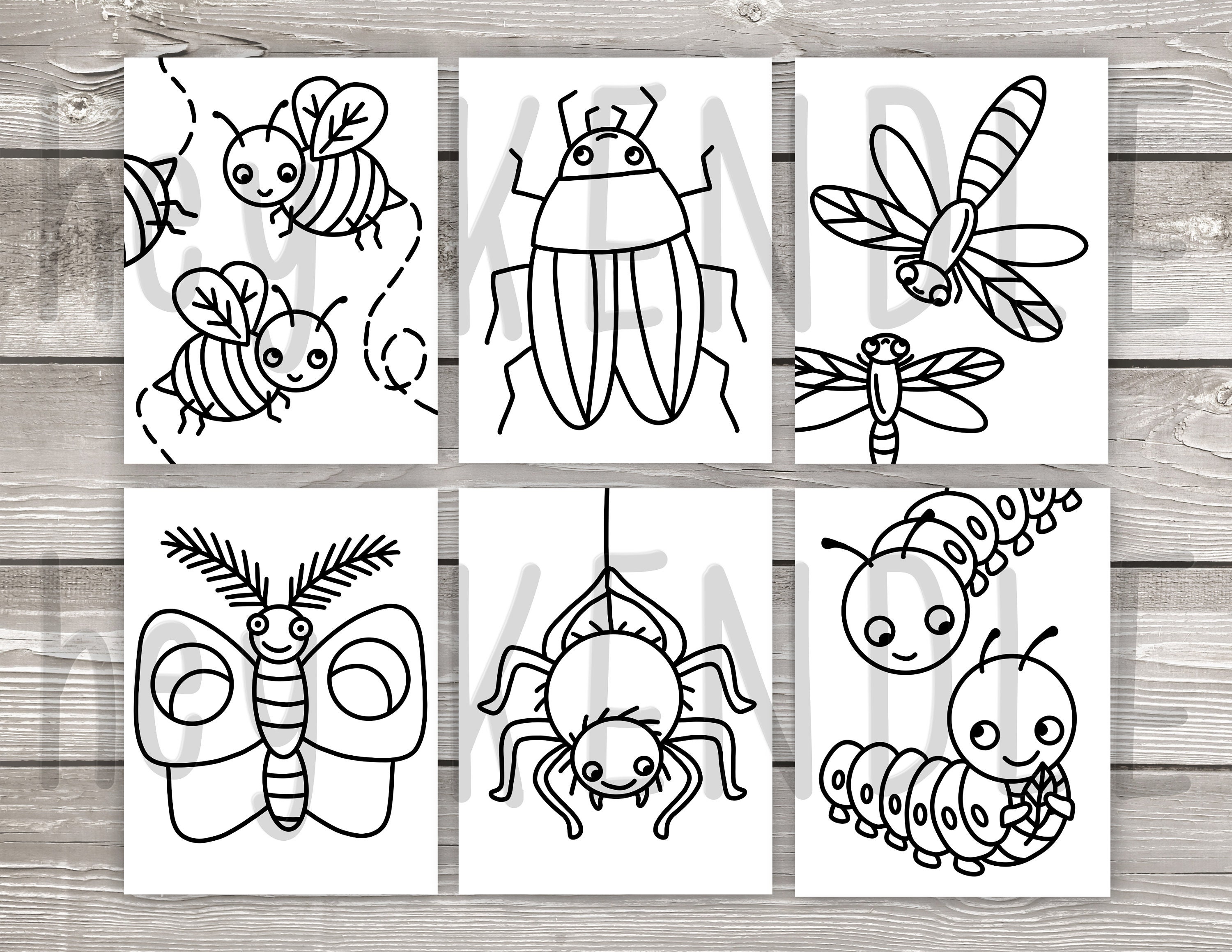 Cute Insect Coloring Coloring Pages (instant Download) PERFECT With ...