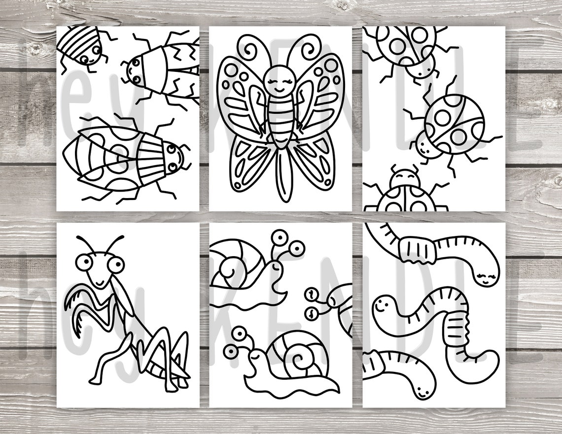 Cute Insect Coloring Coloring Pages (instant Download) PERFECT With ...