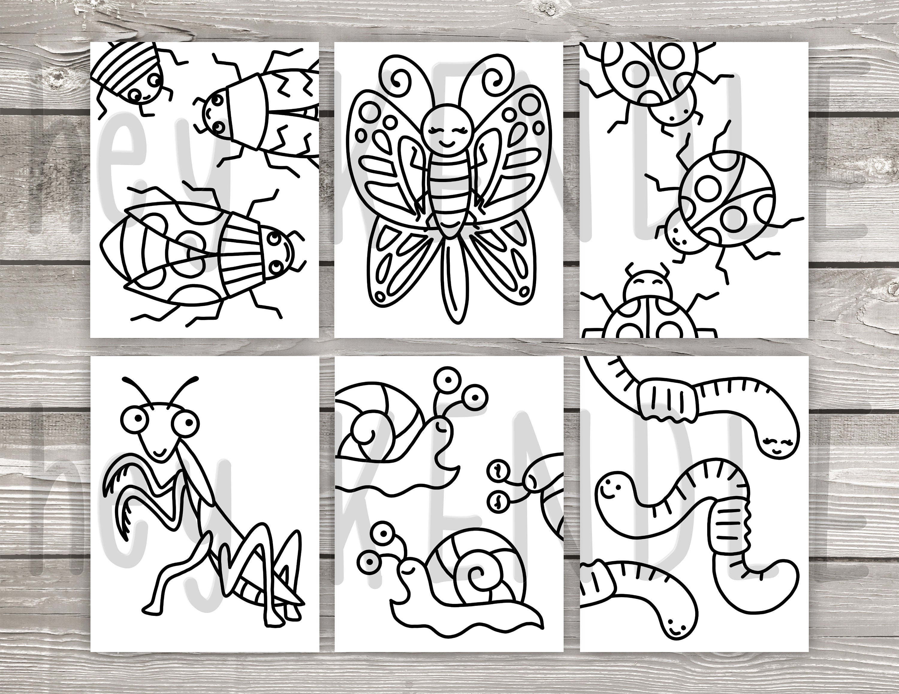 Cute Insect Coloring Coloring Pages (instant Download) PERFECT With ...