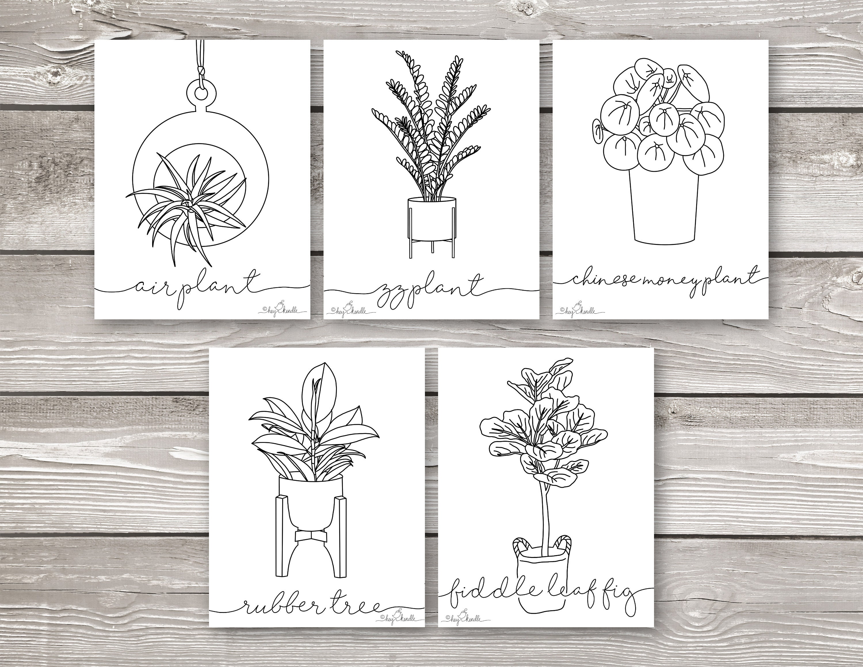 Plant Lover - Houseplants Coloring Pages - Set of 21! (instant Download ...